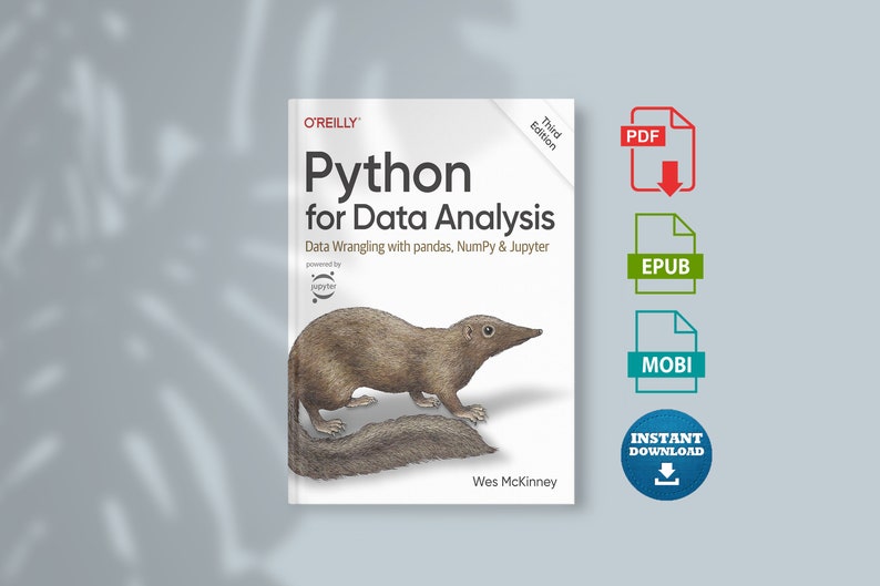 Python for Data Analysis: Data Wrangling With Pandas, Numpy, and Jupyter 3rd Edition - Etsy Canada