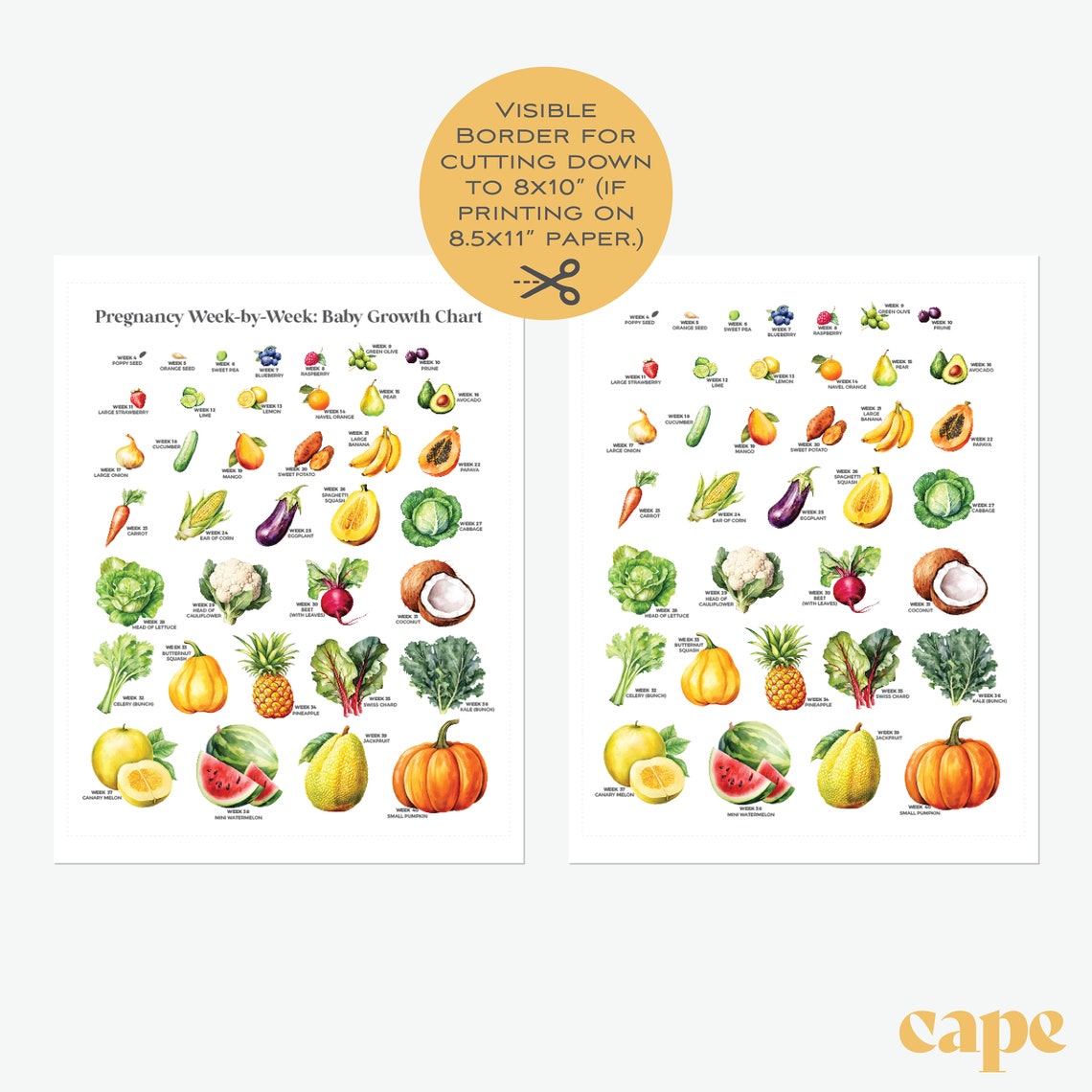 Printable Pregnancy Growth Chart Weeks 4-40, Baby Size Week by Week ...