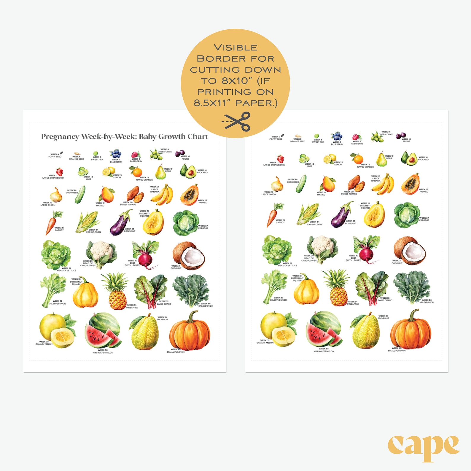 Printable Pregnancy Growth Chart Weeks 4-40, Baby Size Week by Week ...