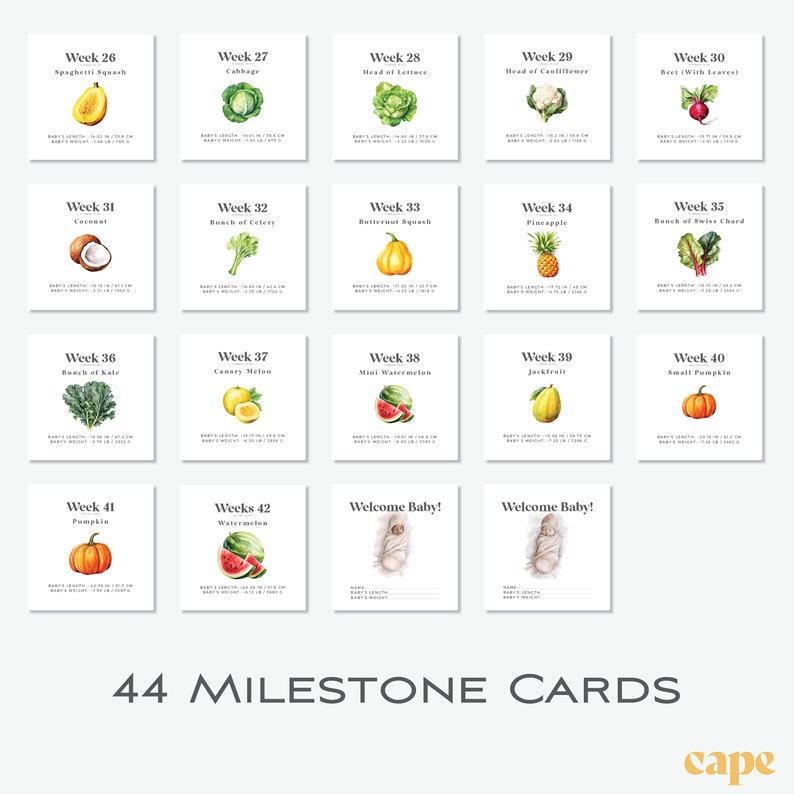 44 Printable Pregnancy Milestone Cards, Baby Size Week by Week Fruit ...
