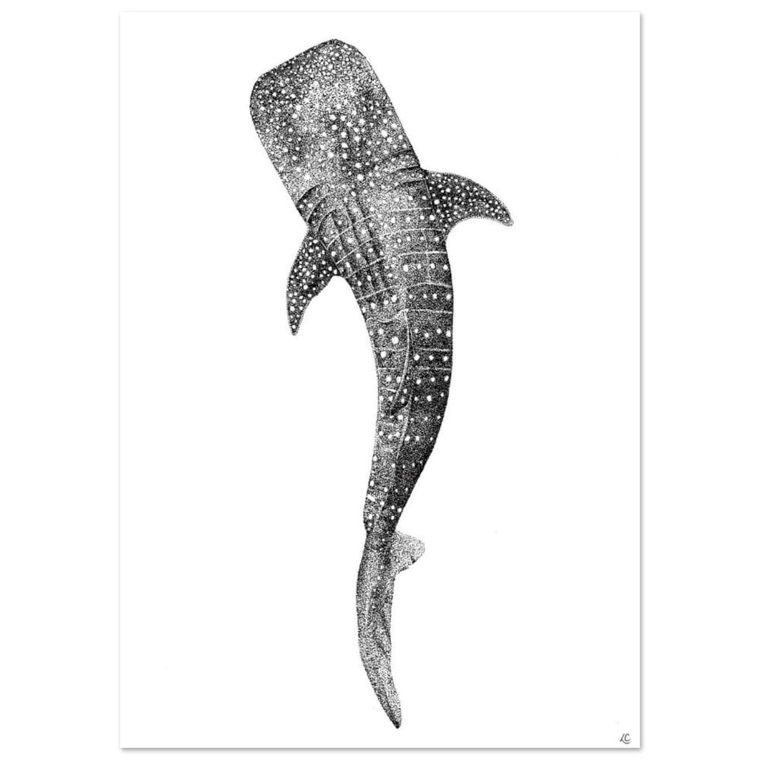 Hand Drawn Whale Shark Ocean Print - Etsy