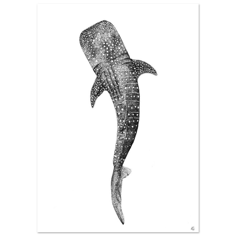 Hand Drawn Whale Shark Ocean Print - Etsy