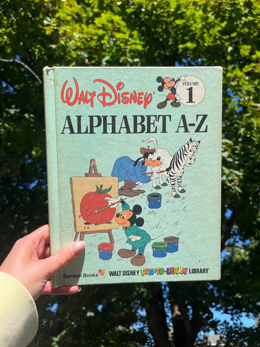 Walt Disney Alphabet A-z Vol 1 - Etsy