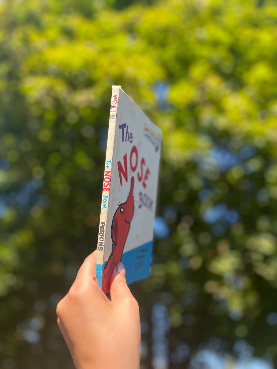 The Nose Book- Vintage- 1970- Bright and Early Books by Al Perkins- Dr ...