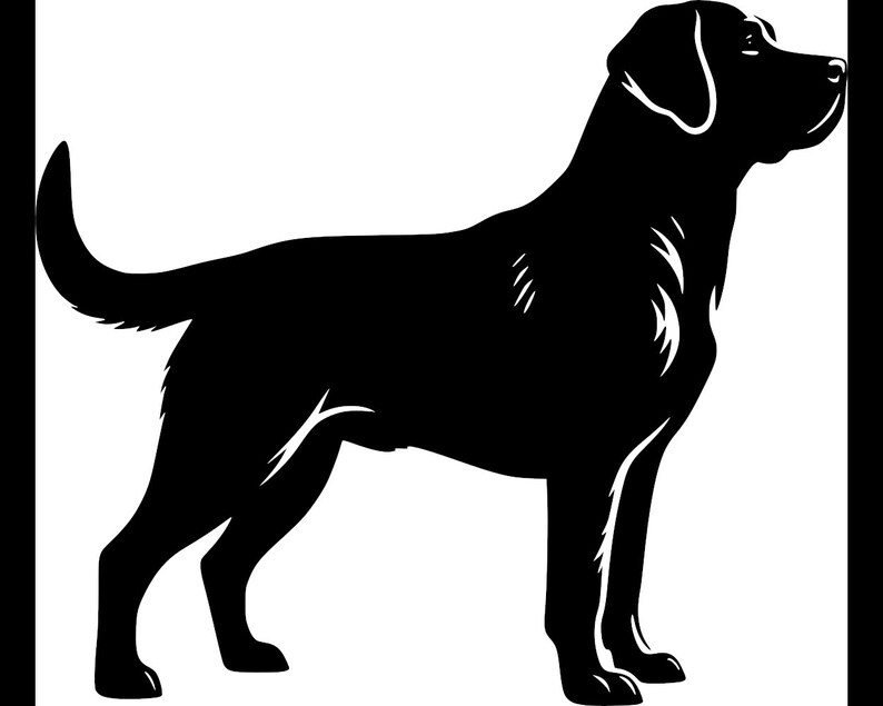 Labrador Retriever SVG Vector Graphic instant Digital Download File ...