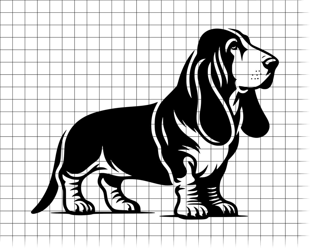Basset Hound SVG Vector Graphic svg, Png, Dxf, Eps, Pdf, Jpg Instant ...