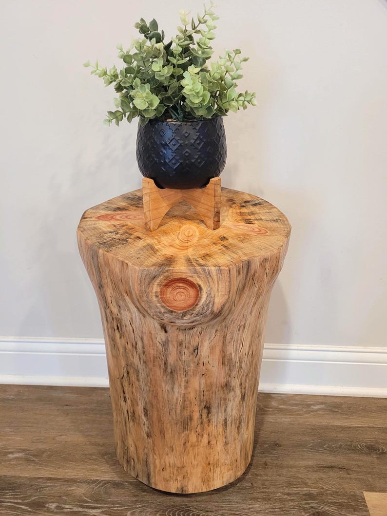 Unique Log Table With Legs, Tree Stump Table, Rare Spalted Pine, One of ...