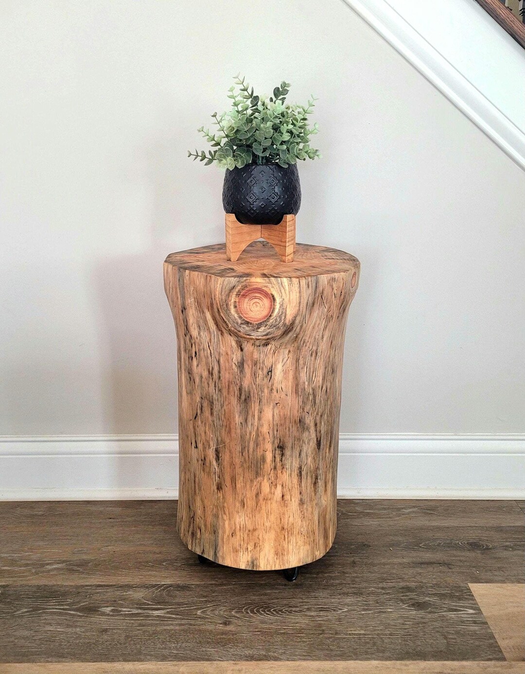 Rustic Live Edge Tree Stump Accent Table, 22 Tall, Natural Edge Spalted ...