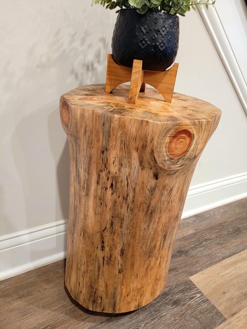 Unique Log Table With Legs, Tree Stump Table, Rare Spalted Pine, One of ...