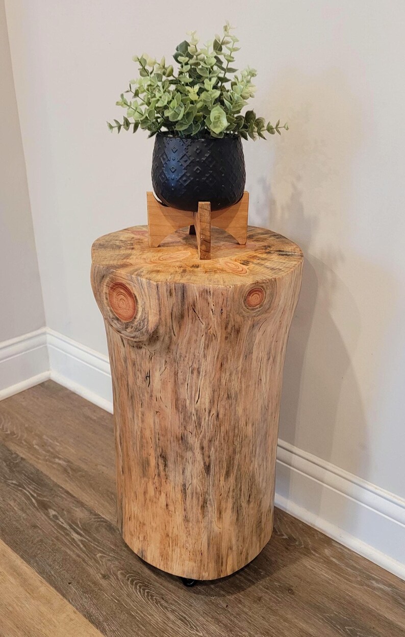 Unique Log Table With Legs, Tree Stump Table, Rare Spalted Pine, One of ...