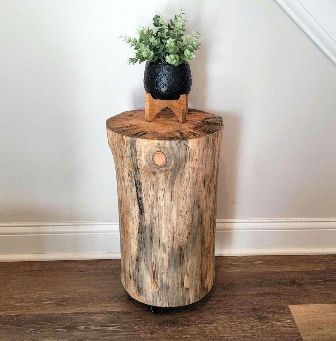 Unique Log Table With Legs, Live Edge Tree Stump Table, Rare Spalted ...