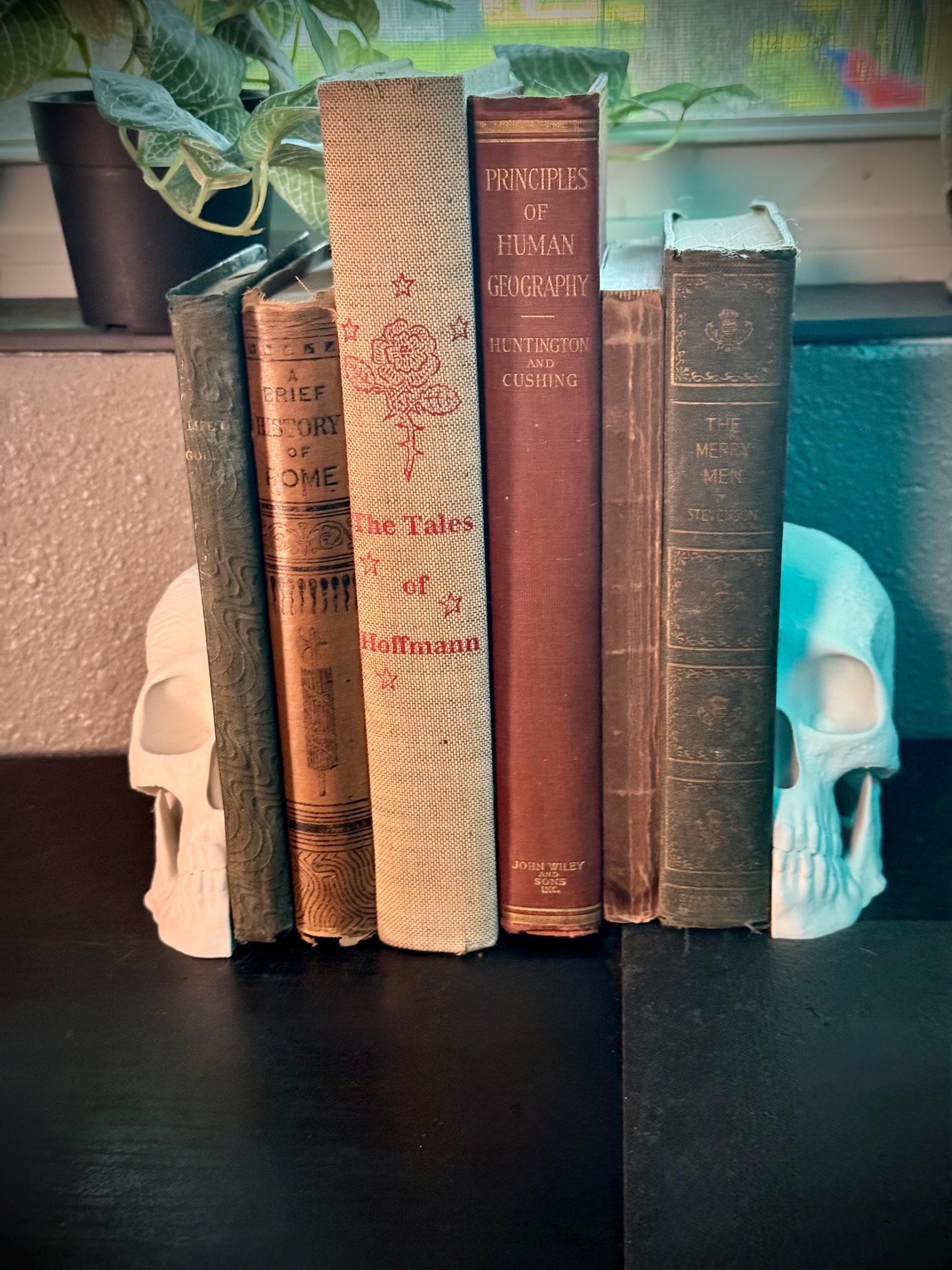 Skull Bookends – Boldly Hold Your Darkest Tales - Etsy