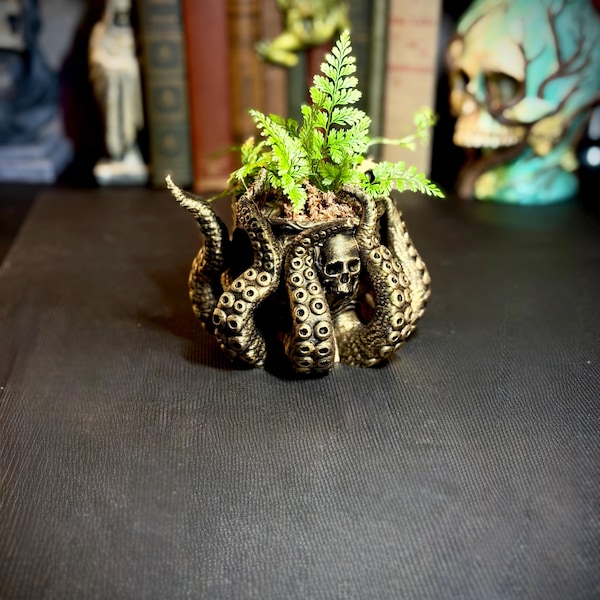 Octopus Planter - Etsy