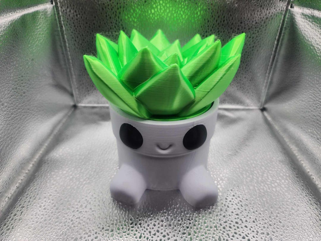 Adorable 3D Printed Succulent Plant in a Pot! - Etsy