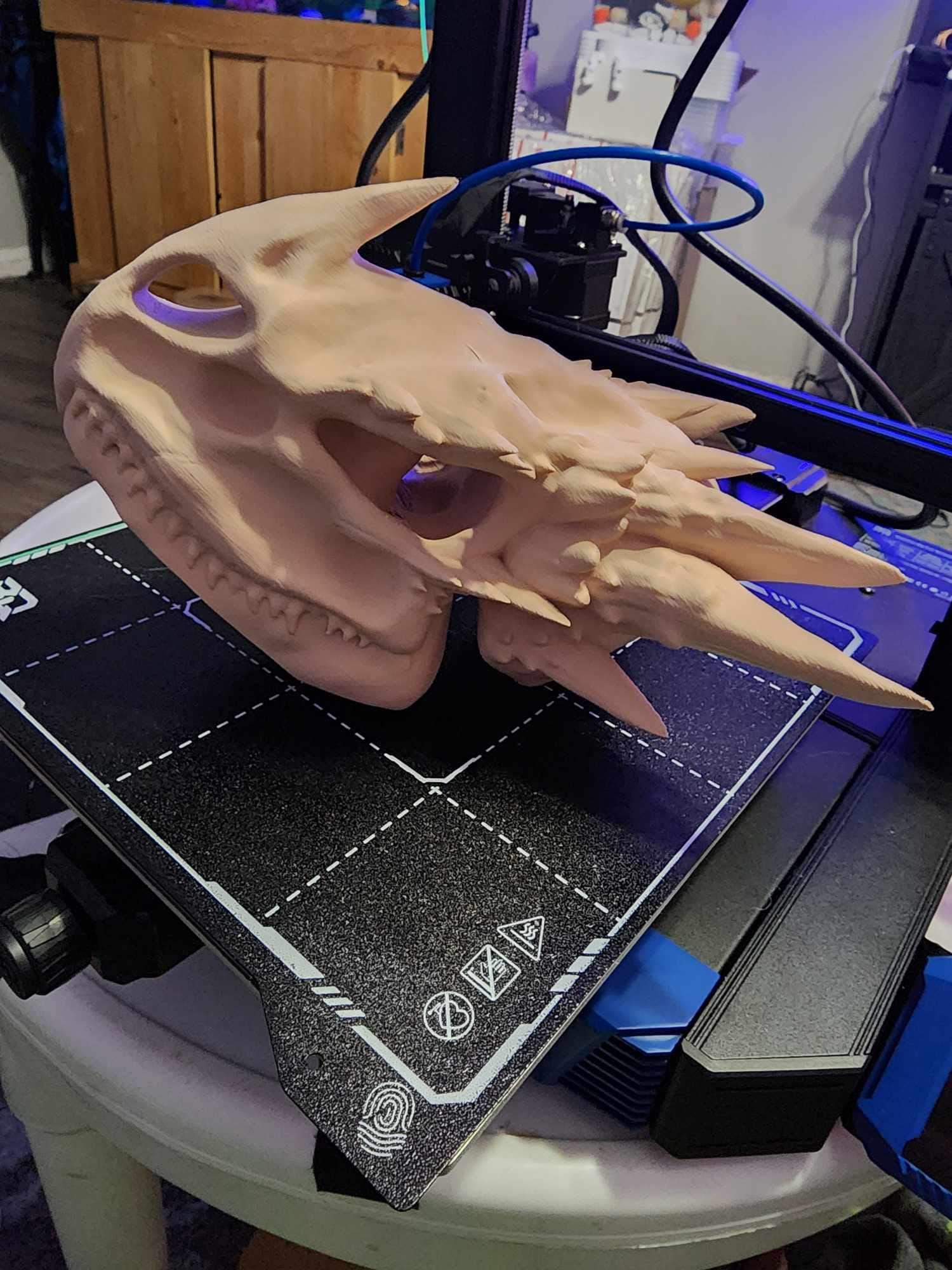 3D Printed Dragon Skull: Fantasy Home Decor - Etsy