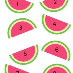 Watermelon Seed File Folder Counting Game - Etsy