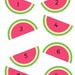 Watermelon Seed File Folder Counting Game - Etsy