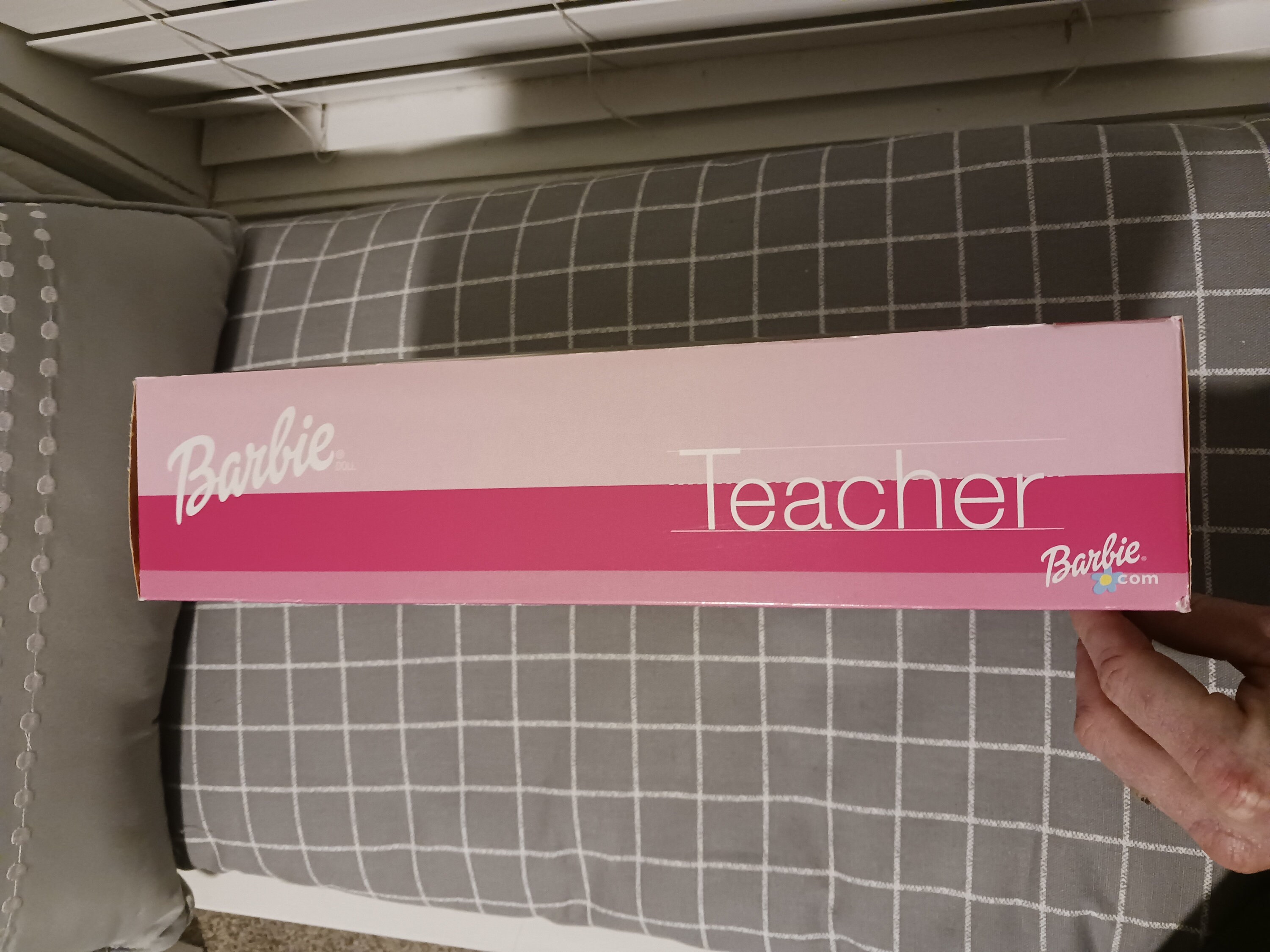 Vintage 2000 Barbie Teacher and School Room Backdrop, Unopened Box - Etsy