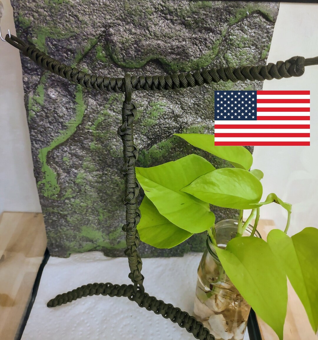 Reptile Vine System Climbing Enrichment Made in USA -- Arboreal Gecko ...