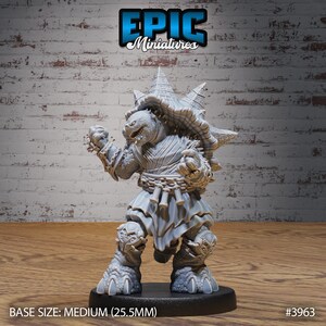 Turtle Necromancer Dungeons and Dragons Pathfinder Wargaming TTRPG ...