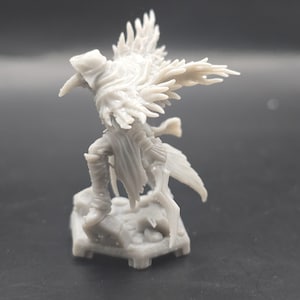 Crow Assassin Rogue Dungeons and Dragons Pathfinder Wargaming TTRPG ...