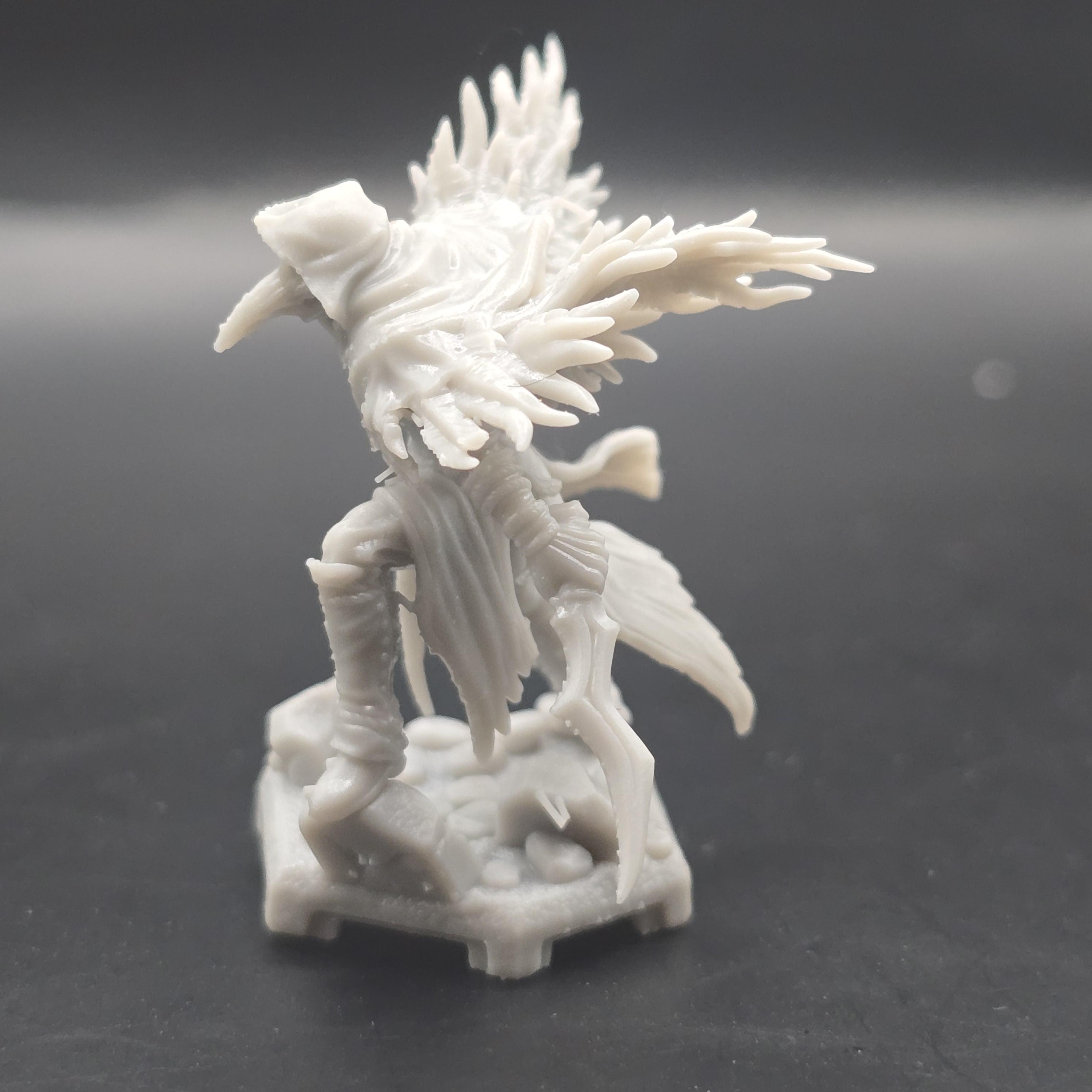 Crow Assassin Rogue Dungeons and Dragons Pathfinder Wargaming TTRPG ...