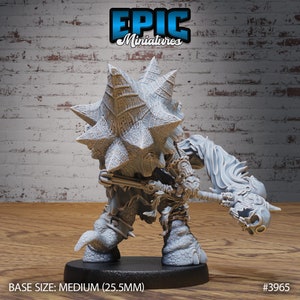 Turtle Necromancer Dungeons and Dragons Pathfinder Wargaming TTRPG ...