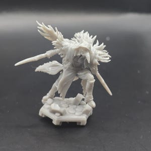 Crow Assassin Rogue Dungeons and Dragons Pathfinder Wargaming TTRPG ...