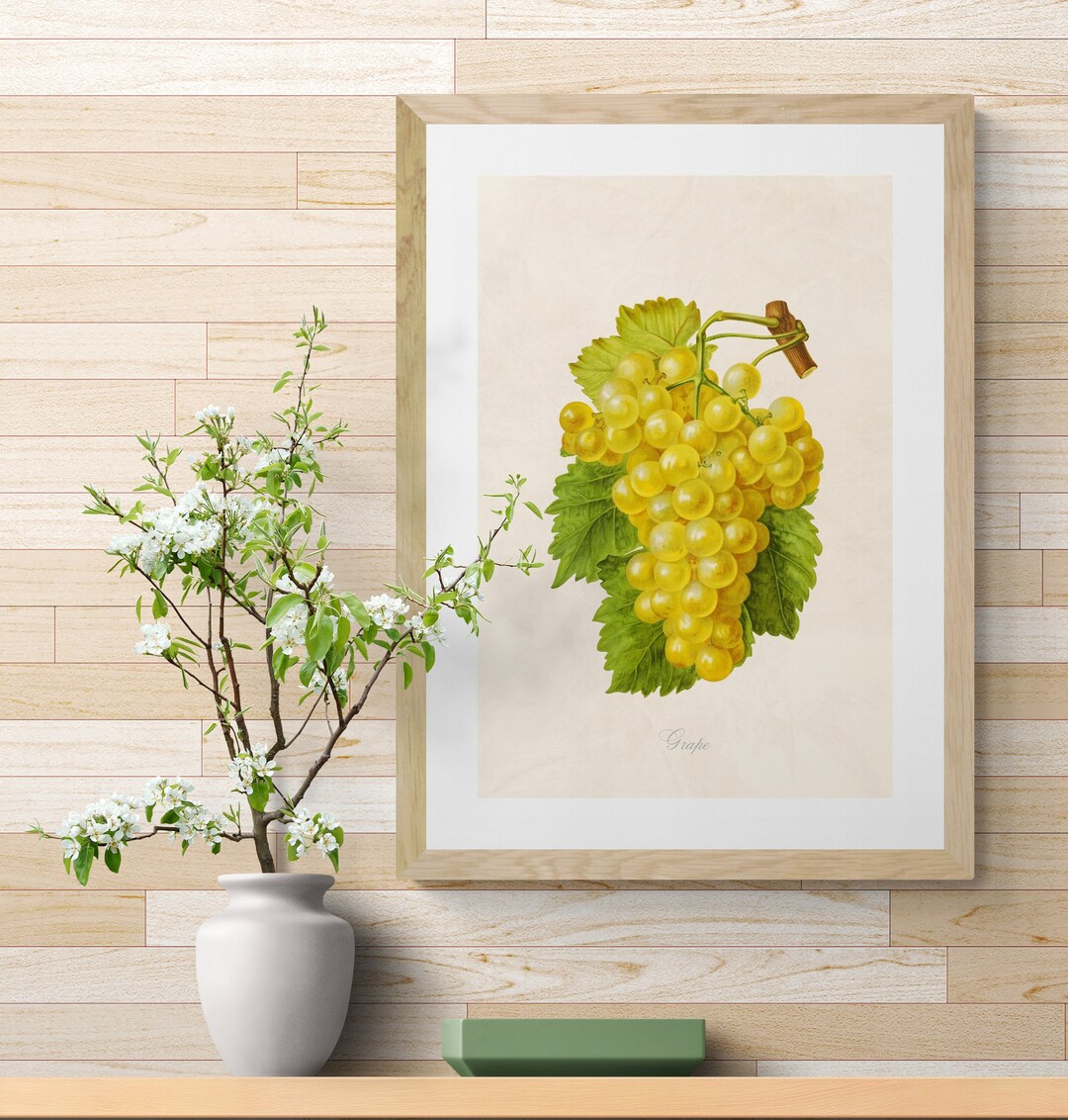 Vintage Digital Grape Print, Botanical Art Print, Digital Download ...