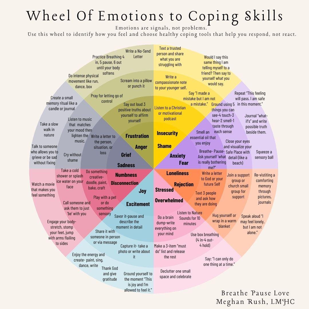Feelings Wheel & Coping Skills Wheel Chart | Therapist- Made-mental ...