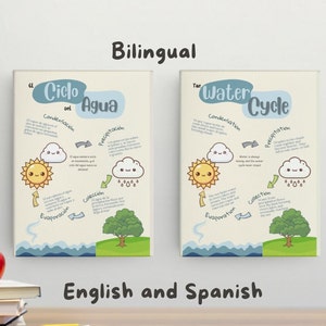 Bilingual Educational Poster of the Water Cycle in Spanish and English ...