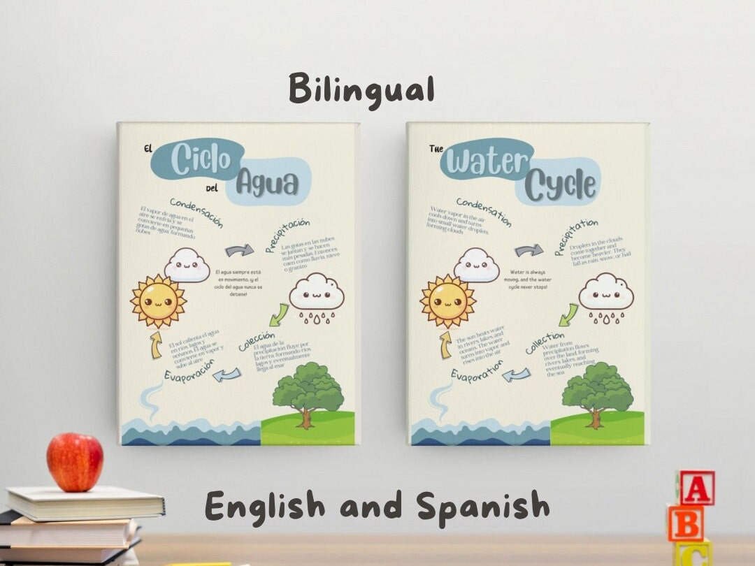 Bilingual Educational Poster of the Water Cycle in Spanish and English ...