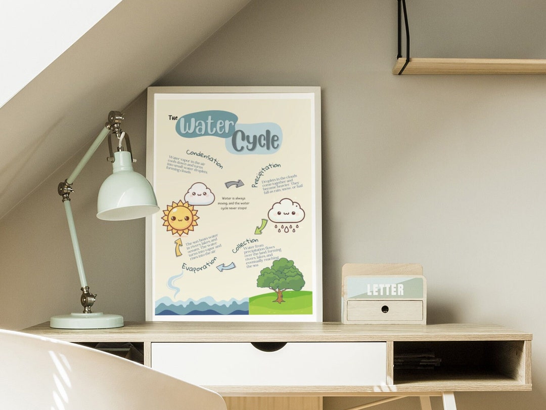 Water Cycle Educational Poster in English, Visual Resource for Science ...