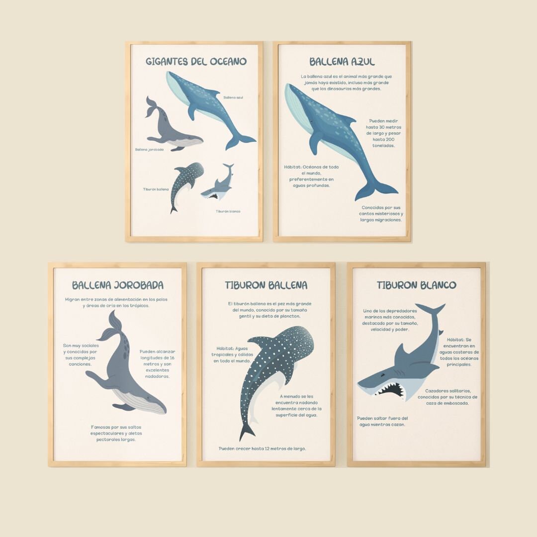 Educational Set in Spanish of Giants of the Ocean Posters of Whales and ...
