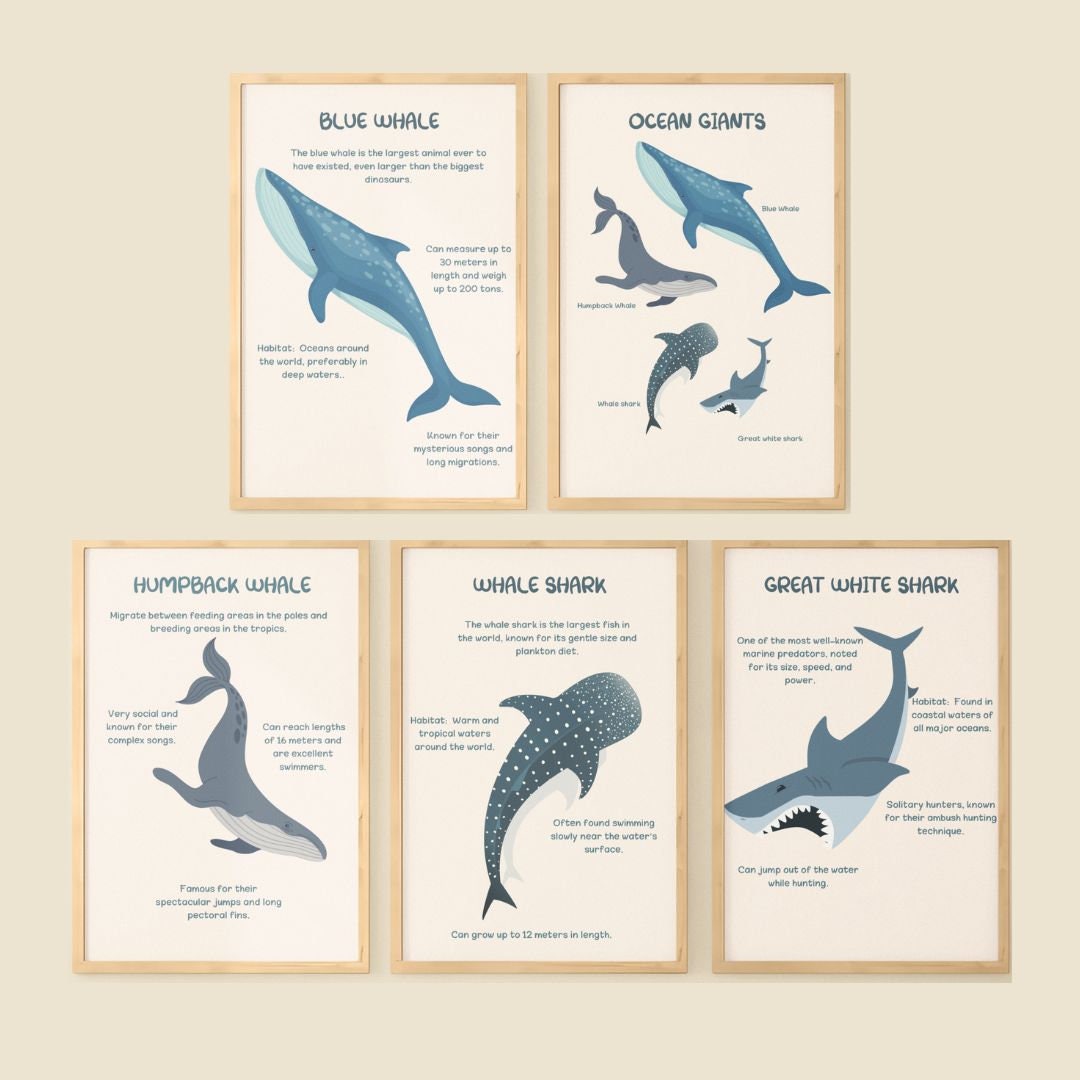 Giant Sea Creatures Poster Set – Educational Sea Life Art for Kids Ages ...
