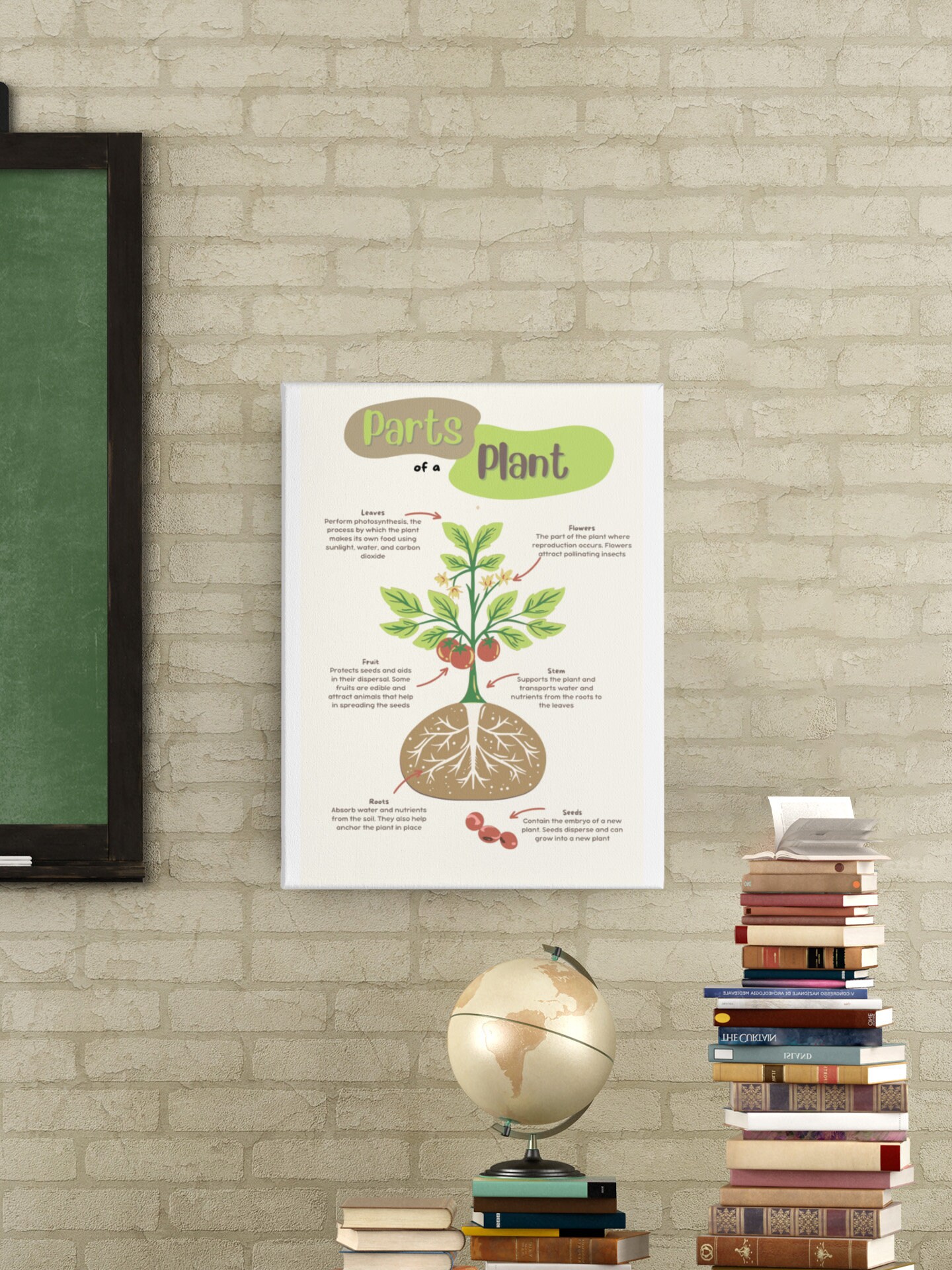 Educational Poster of the Parts of a Plant in English, Teaching Resource for Students, Digital ...