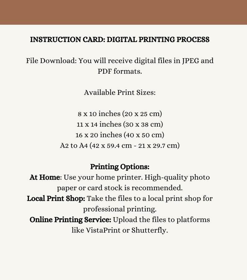 Bilingual Educational Posters for Kids - Explore Photosynthesis in ...