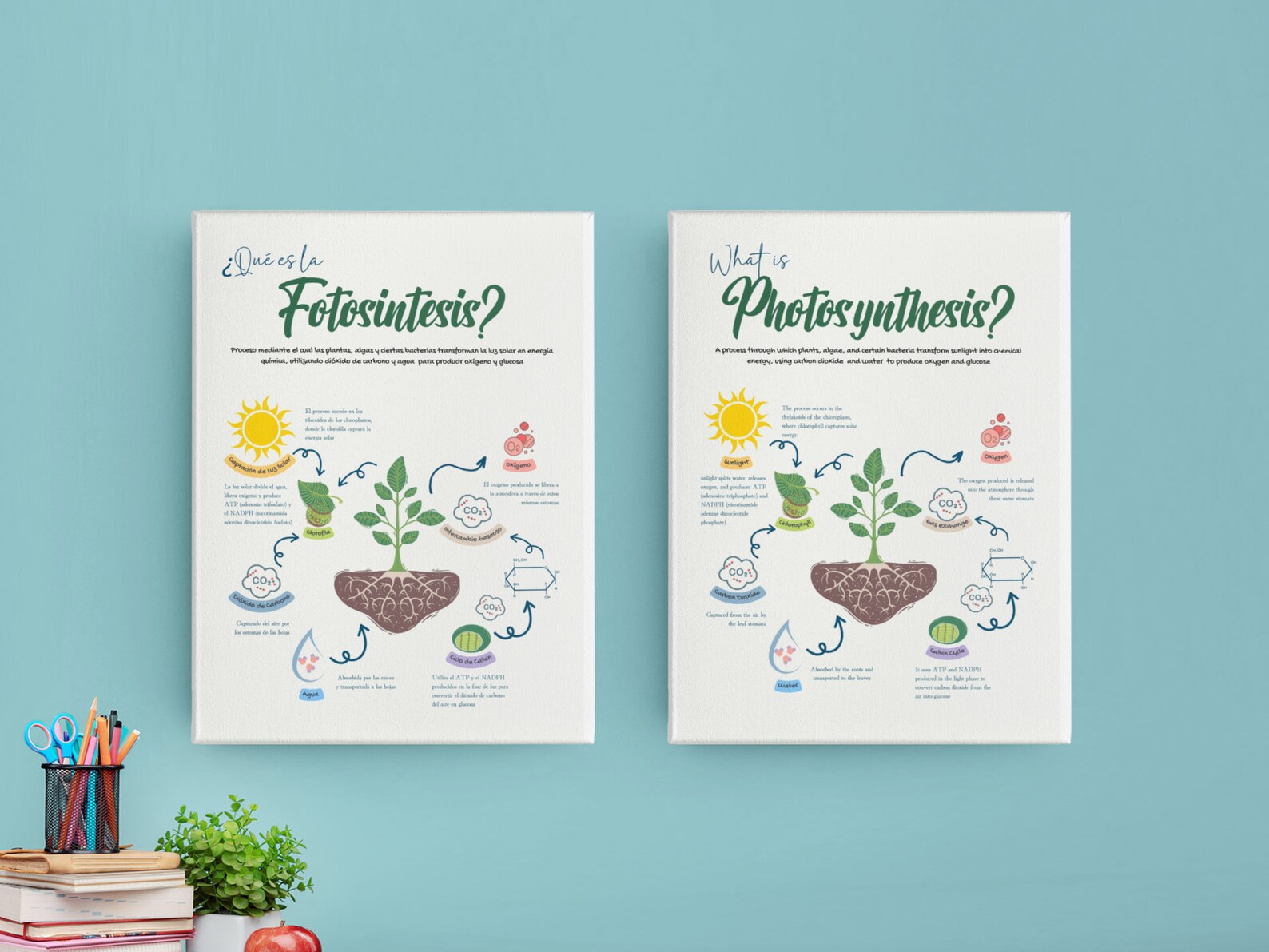 Bilingual Educational Posters for Kids - Explore Photosynthesis in ...