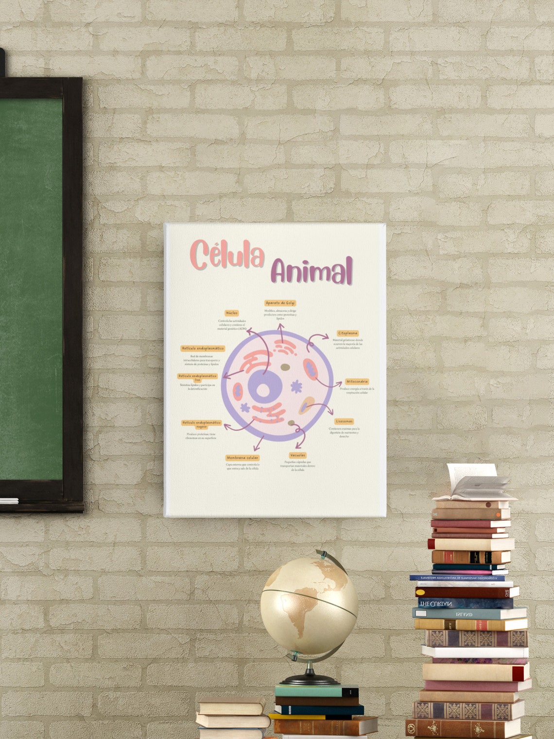 Animal Cell Poster in Spanish - Digital Download for Science Education ...
