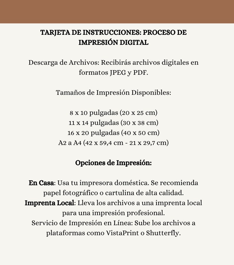 Bilingual Educational Posters for Kids - Explore Photosynthesis in ...