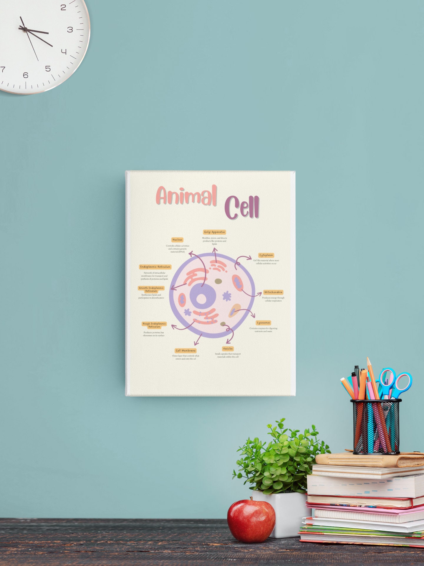 Animal Cell Poster in English, Secondary Education, Educational ...