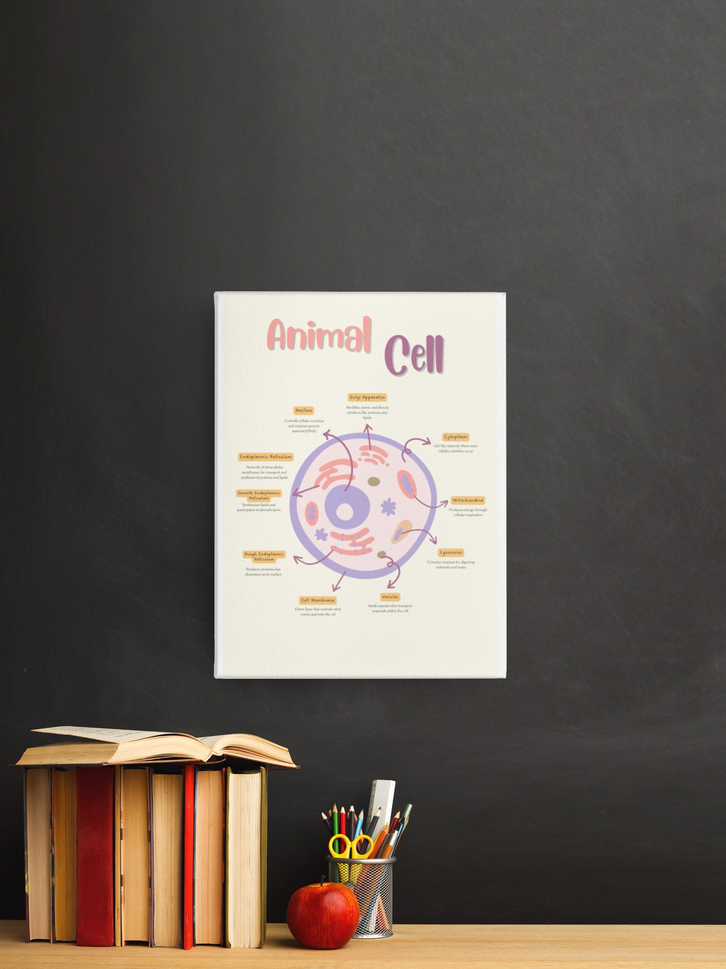 Animal Cell Poster in English, Secondary Education, Educational ...