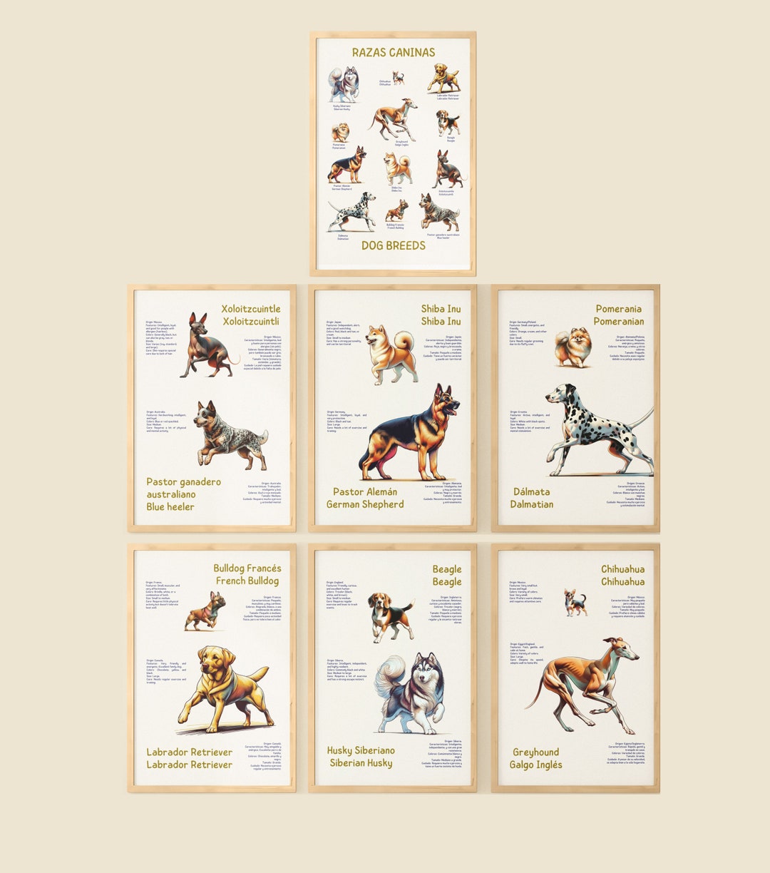 Bilingual Educational Poster Set of Dog Breeds, Learn and Decorate ...
