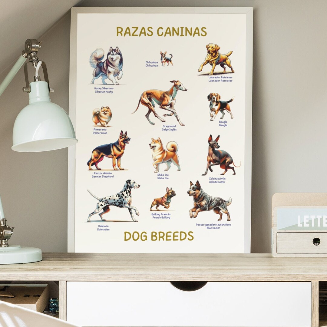 Bilingual Educational Posters on Dog Breeds, Classroom Decorations ...