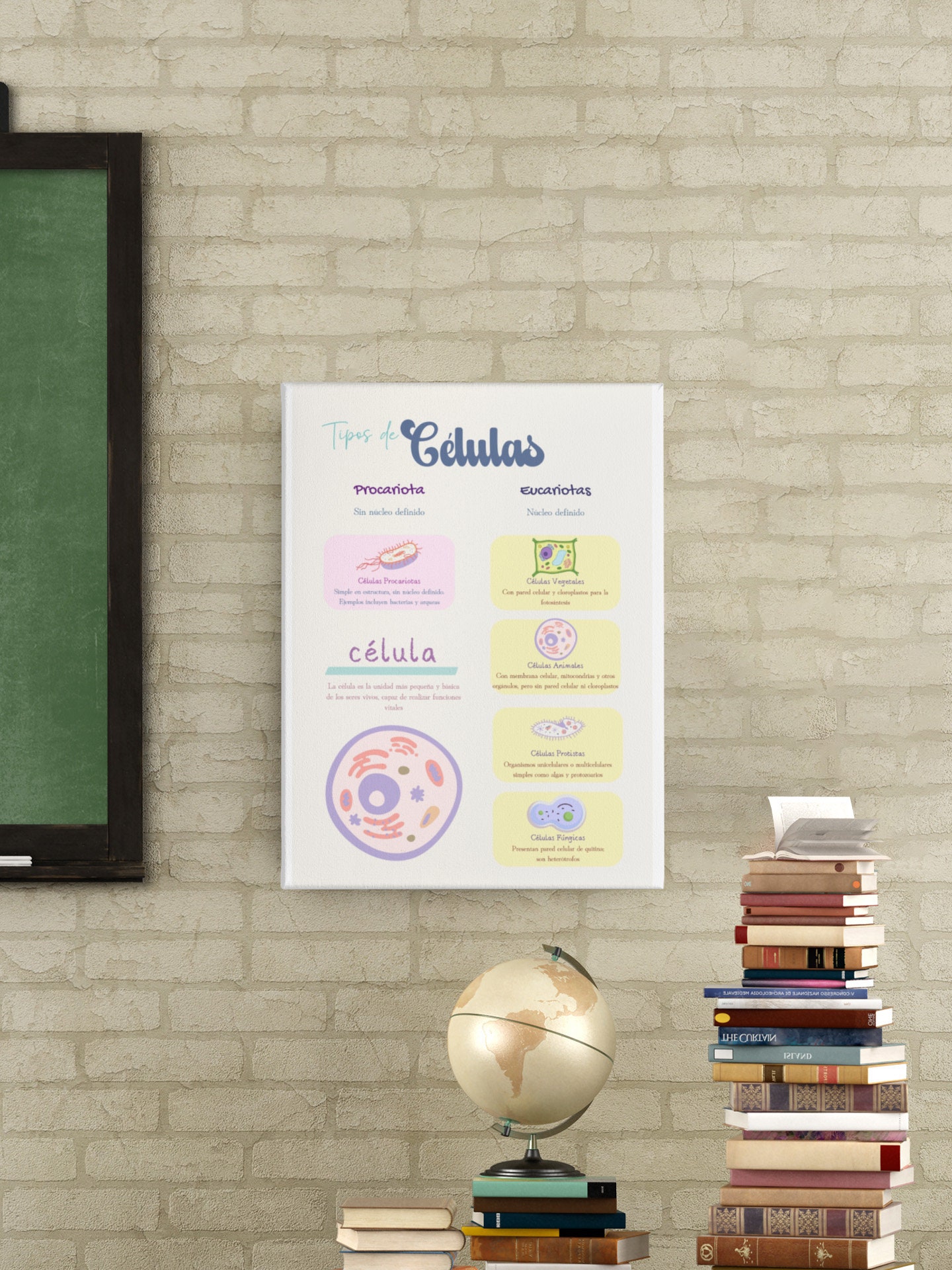 Educational Poster types of Cells in Spanish for Teaching Cell Biology ...