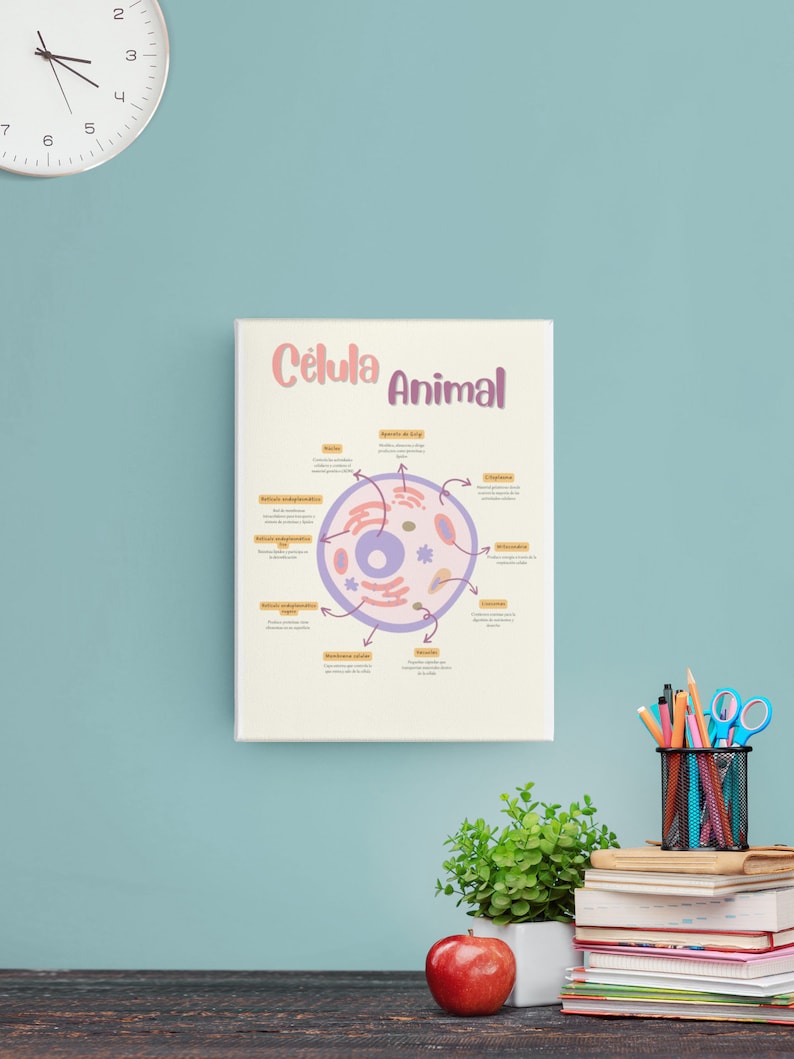 Animal Cell Poster in Spanish - Digital Download for Science Education ...