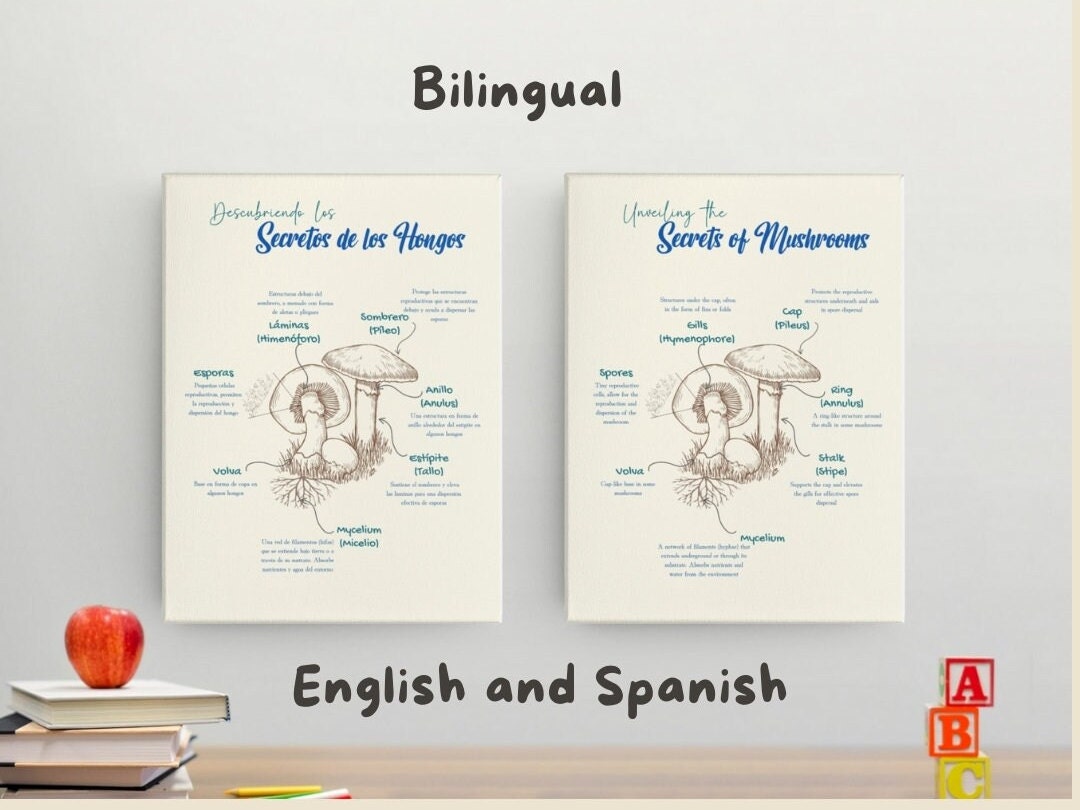 Spanish-english Bilingual Poster Set "secrets of Fungi" for Teaching ...