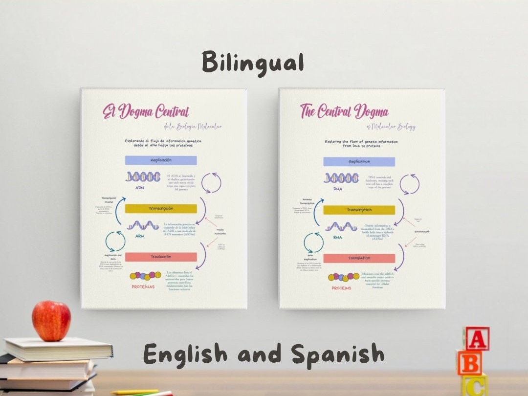 Bilingual Poster Set "the Central Dogma of Molecular Biology" for ...