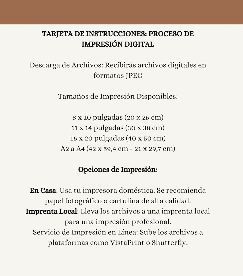 Circulatory System Poster Set in Spanish and English for Classrooms and ...