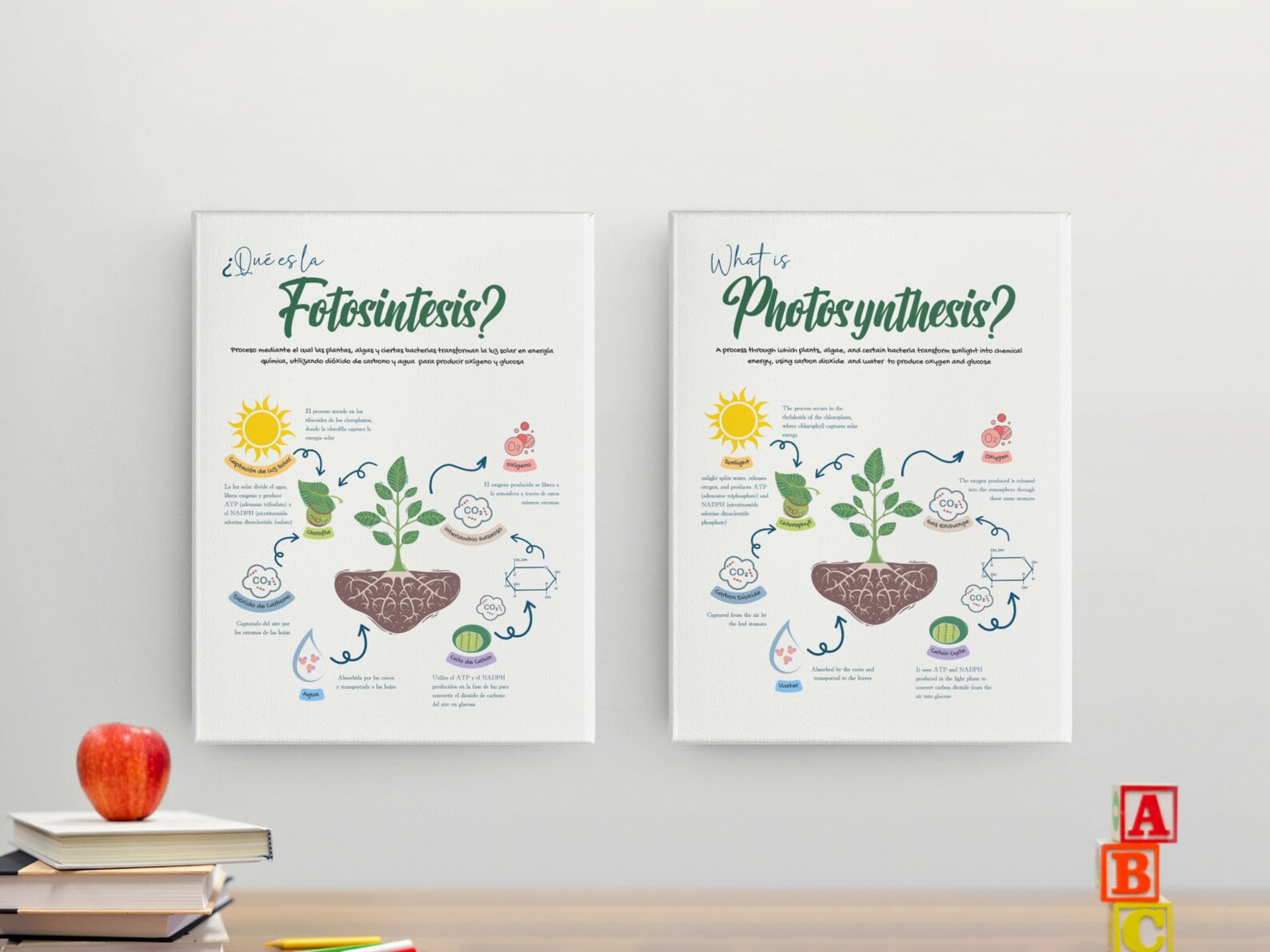 Bilingual Educational Posters for Kids - Explore Photosynthesis in ...